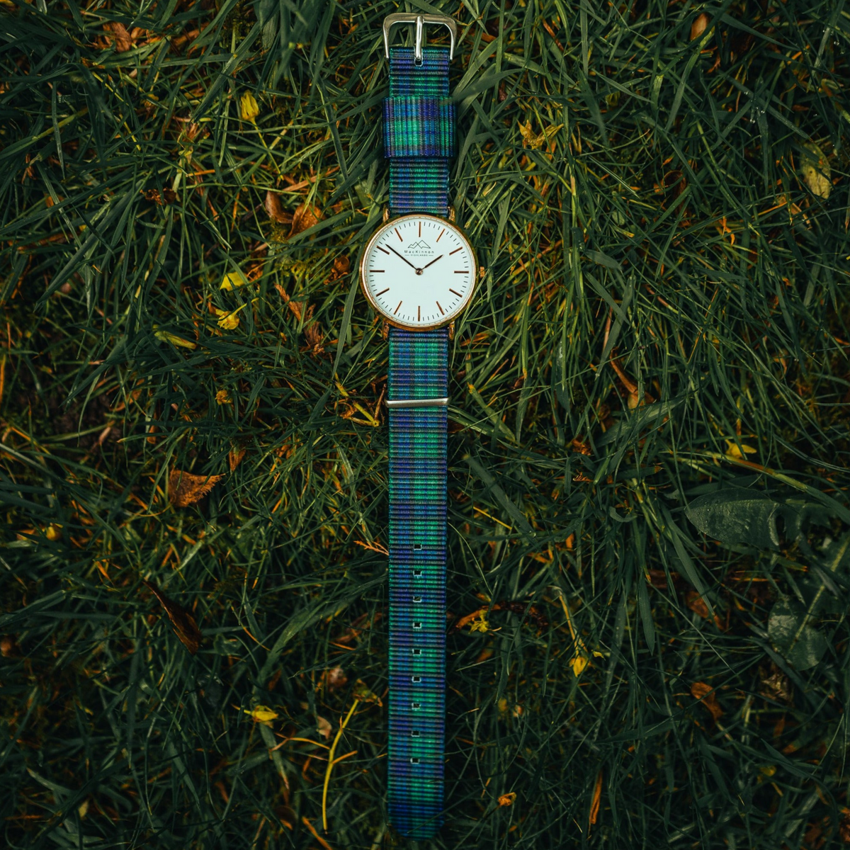 Campbell Watch